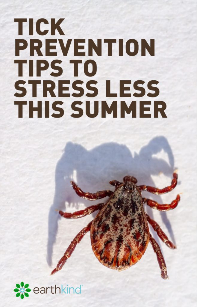Tick Prevention Tips to Stress Less this Summer - KARI WARBERG BLOCK